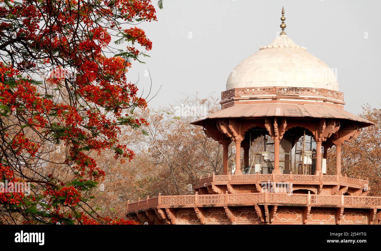 Dome - Artecture at Taj Mahal Stock Photo - Alamy