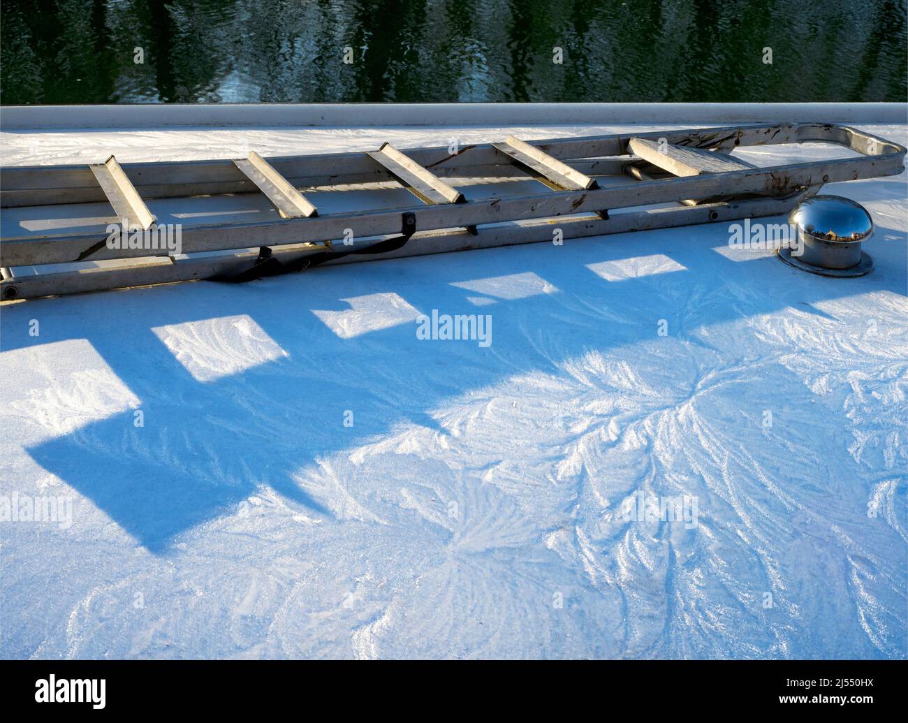 You can see pattern and beauty just about anywhere, if you look hard ...