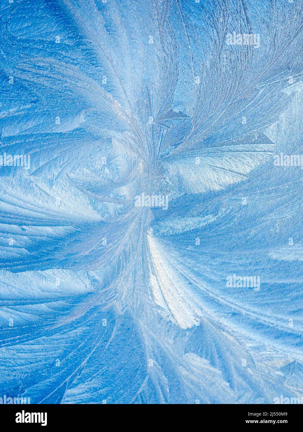 You can see pattern and beauty just about anywhere, if you look hard ...