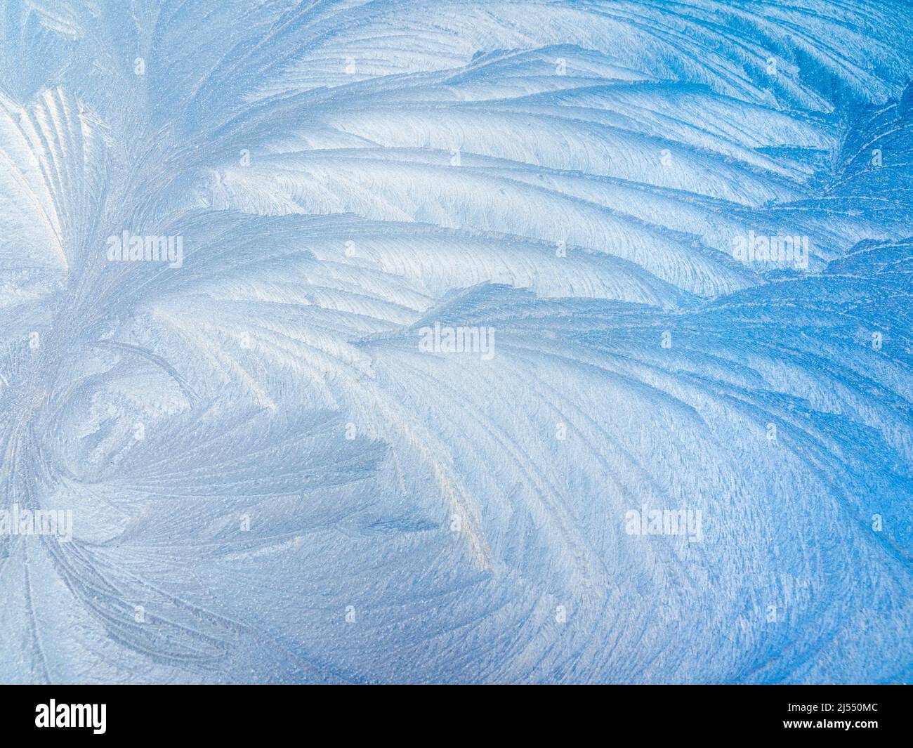 You can see pattern and beauty just about anywhere, if you look hard ...