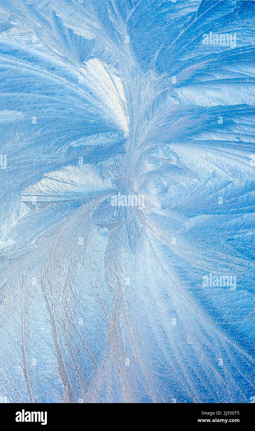 You can see pattern and beauty just about anywhere, if you look hard ...