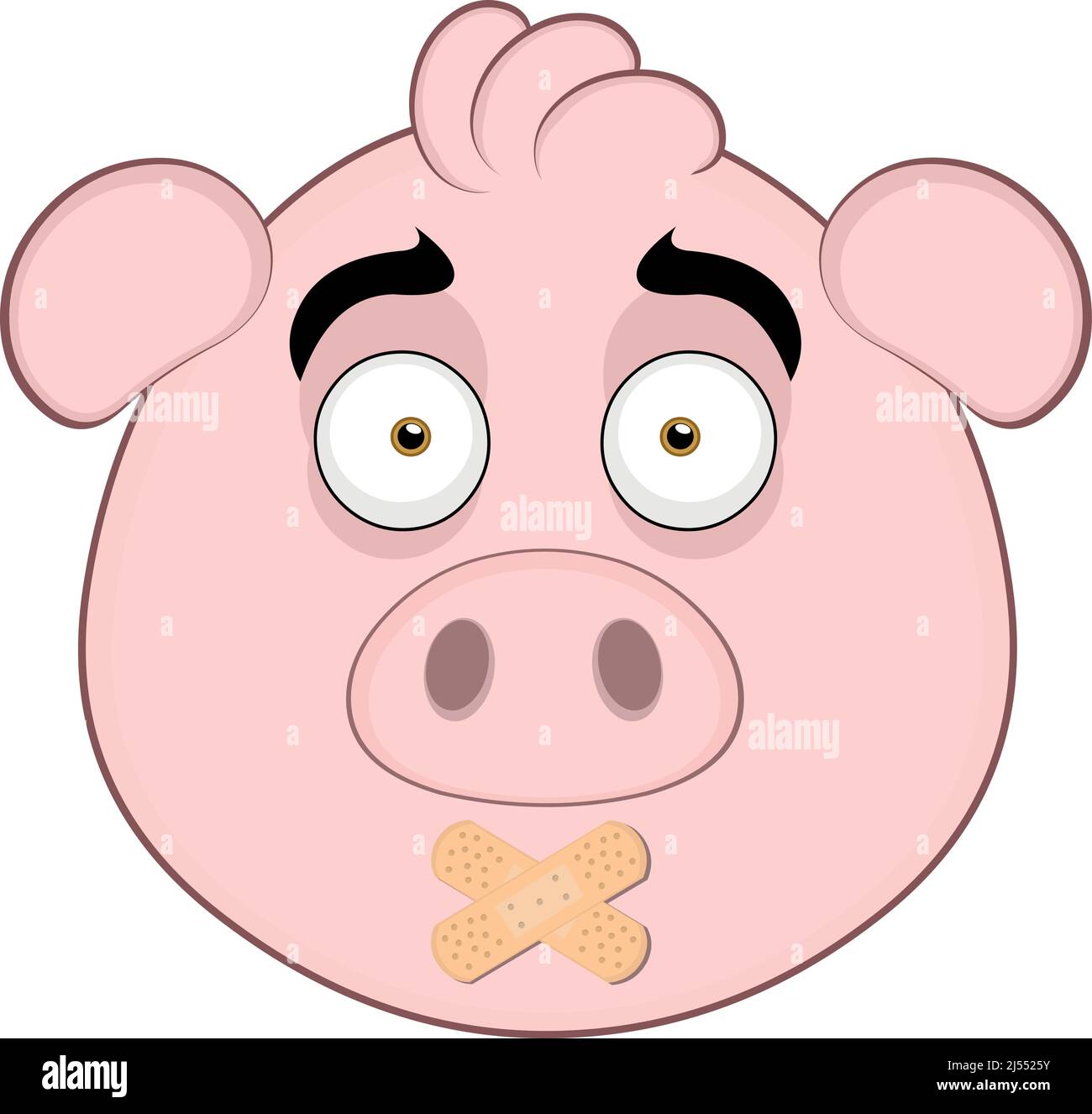 Mean Pig Face Cartoon