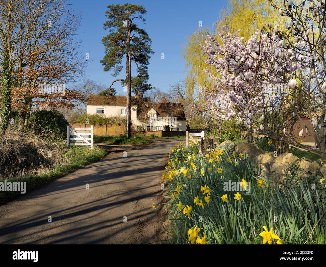 Country scene with gate and tree hi-res stock photography and images ...