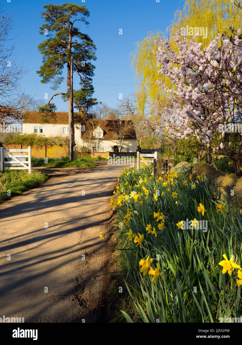 Country scene with gate and tree hi-res stock photography and images ...