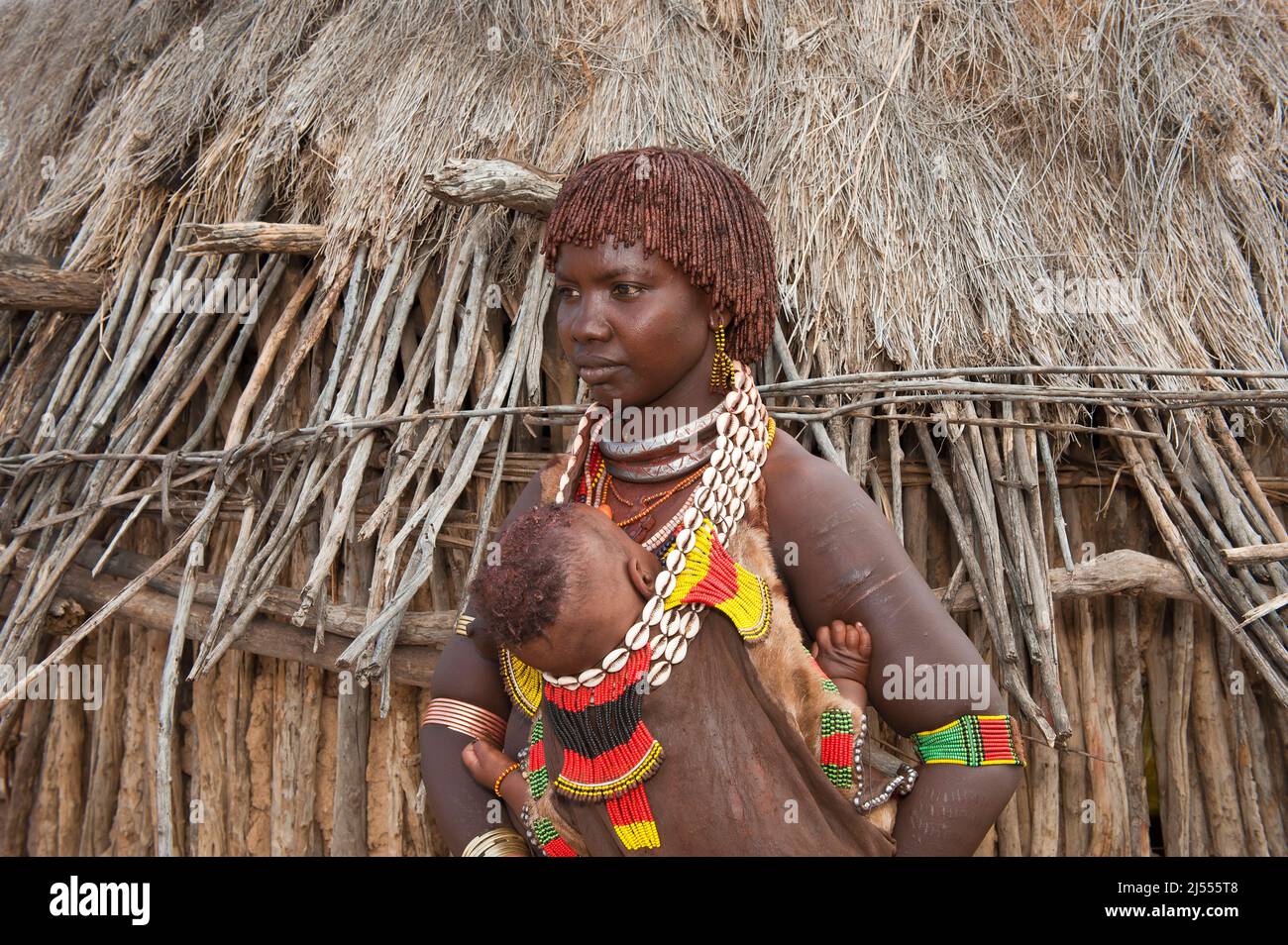 Young Hamar woman with red clay in her hair and necklaces made of Cowry ...