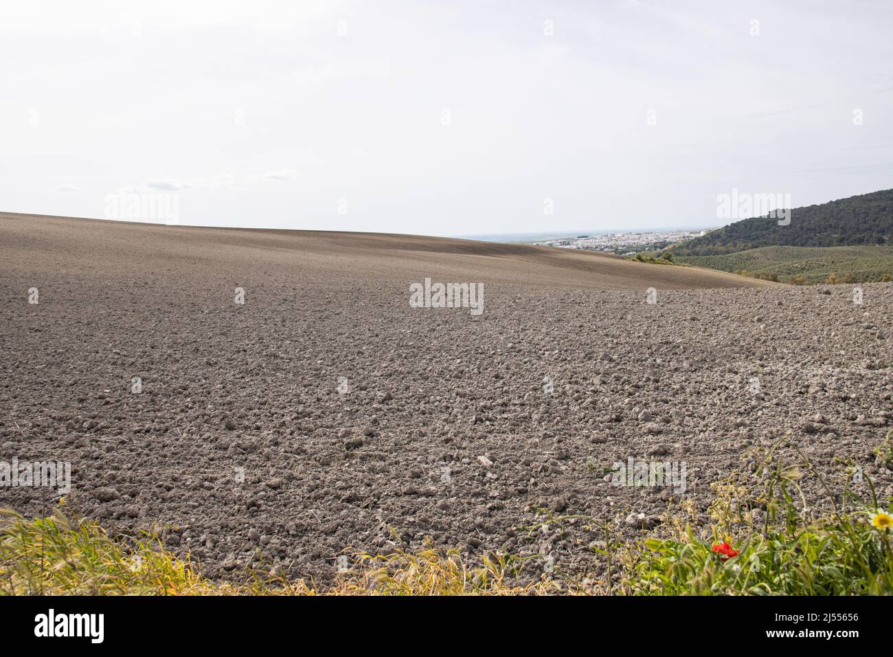 Empty land hi-res stock photography and images - Alamy