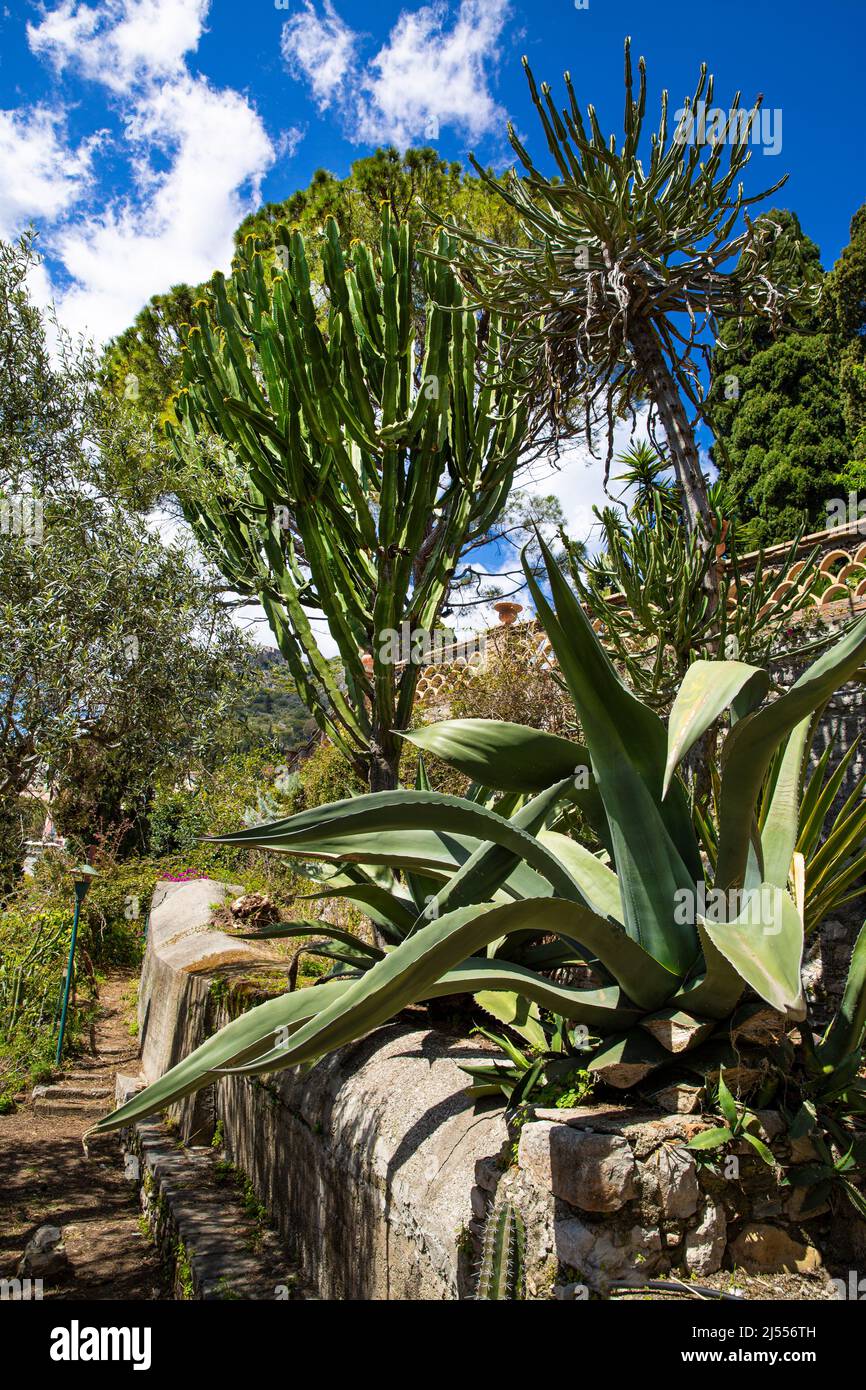 Villa Comunale Park in Taormina, in Sicily, Italy. Beautiful tropical ...