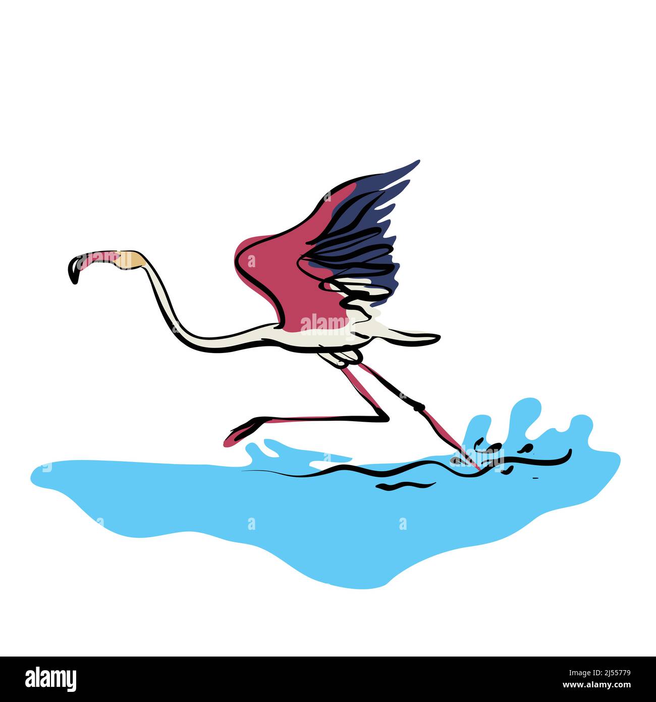 Running Flamingo bird vector illustration Stock Vector Image & Art - Alamy