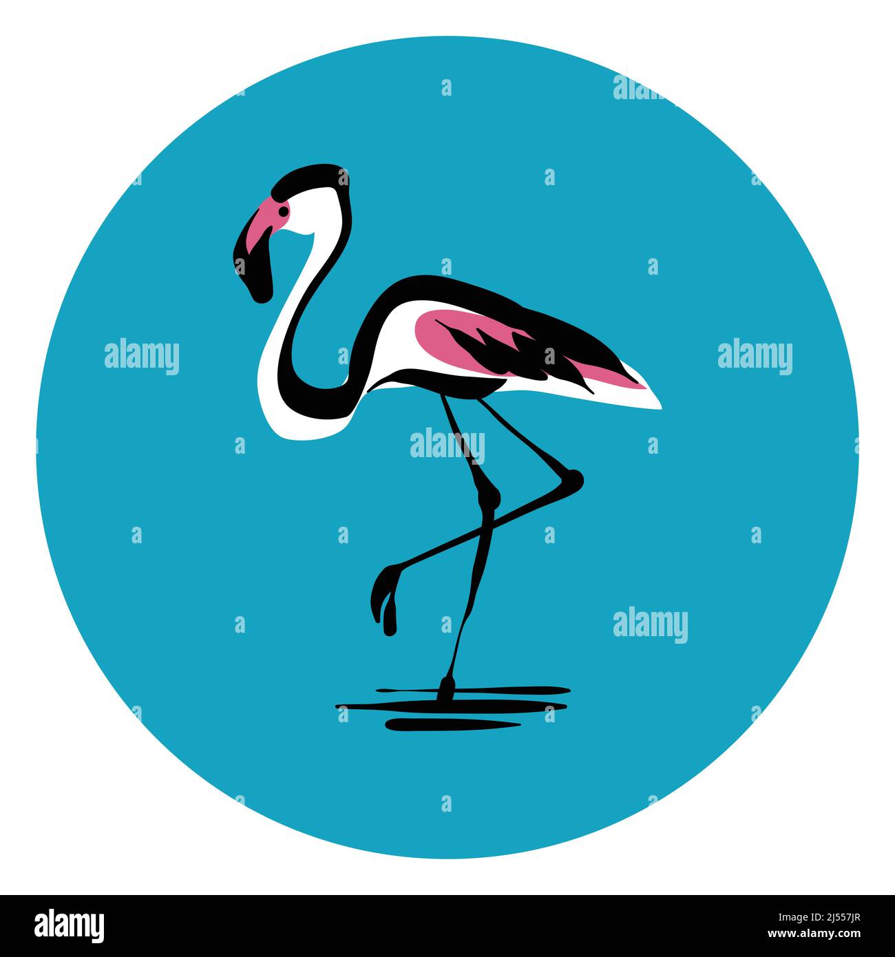 Flamingo vector illustration isolated Stock Vector Image & Art - Alamy