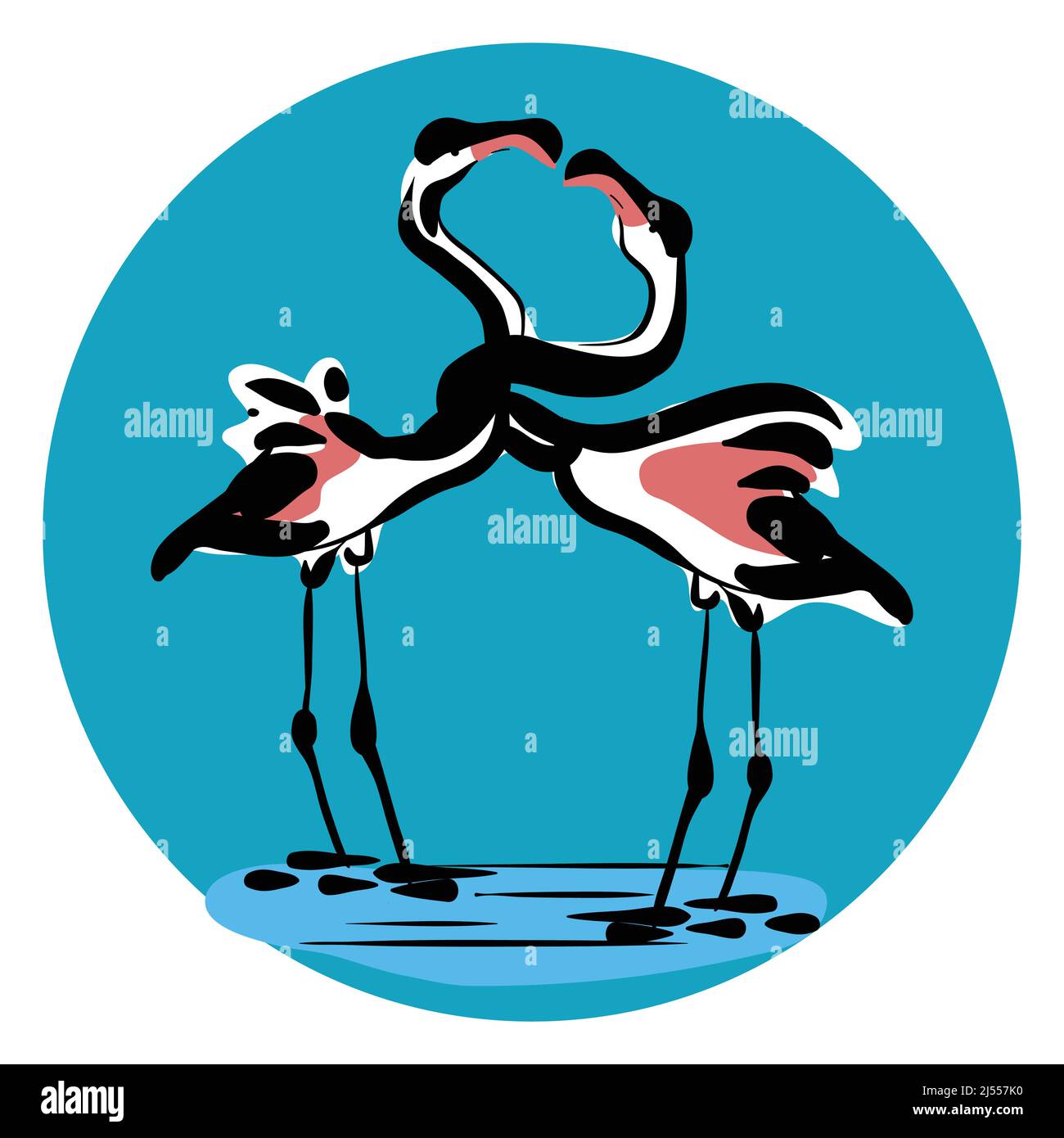 Dancing fleming birds vector illutration isolated Stock Vector Image ...