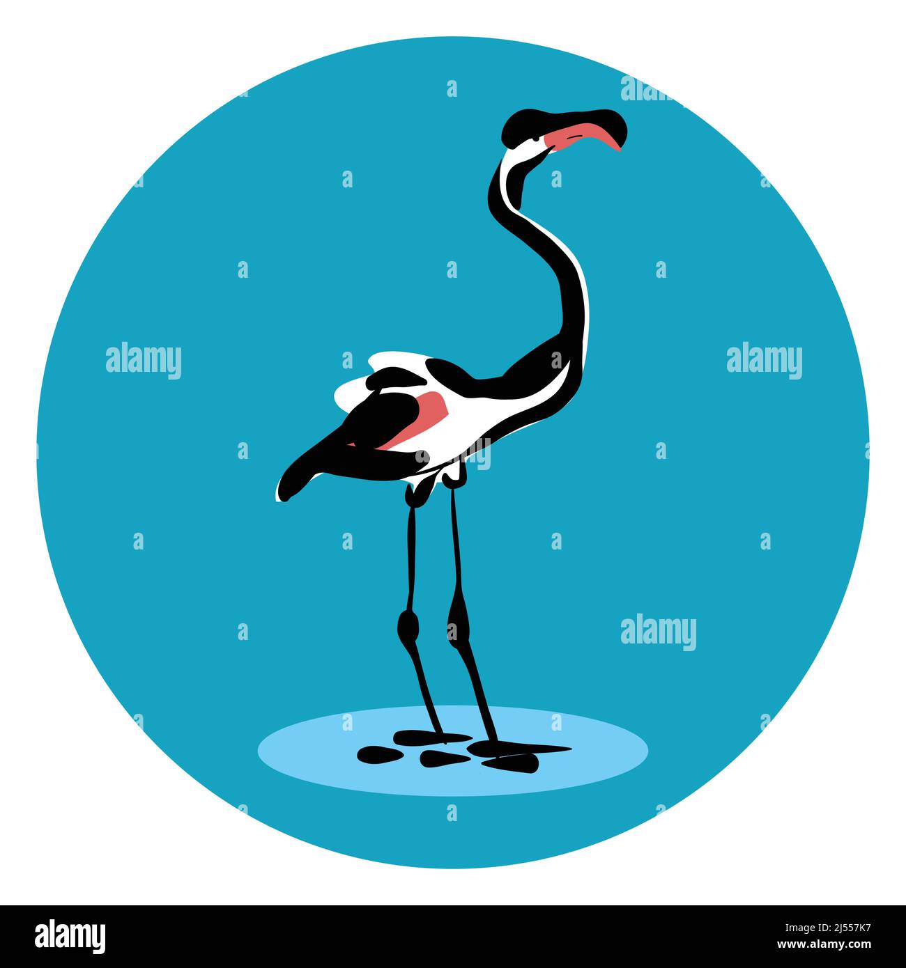 Flamingo vector illustration isolated Stock Vector Image & Art - Alamy