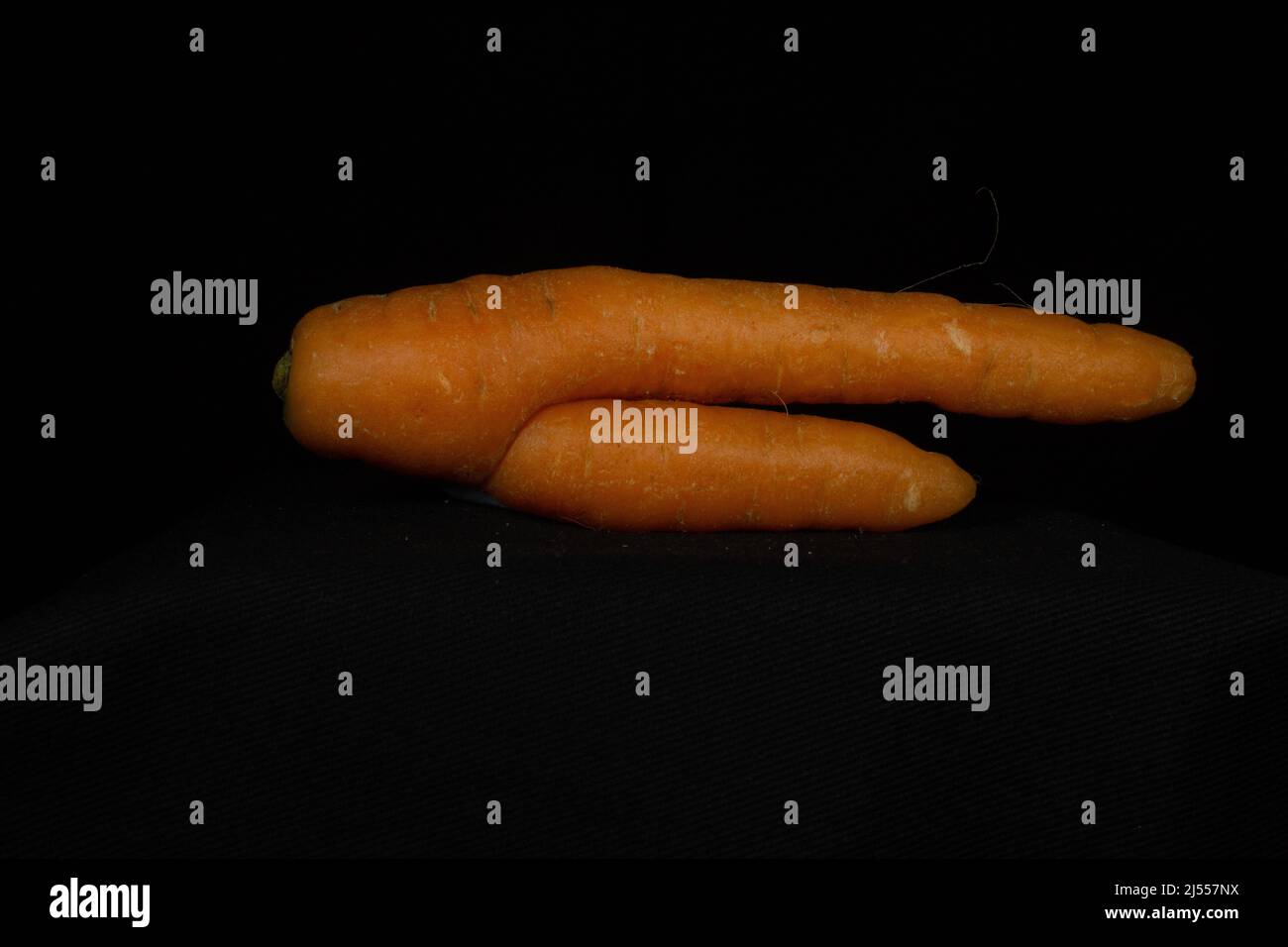 a single deformed orange carrot isolated on a black background Stock ...