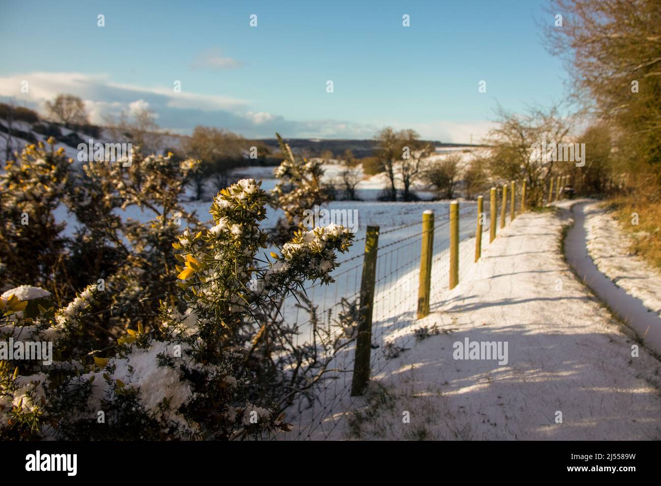Spring snow england hi-res stock photography and images - Alamy