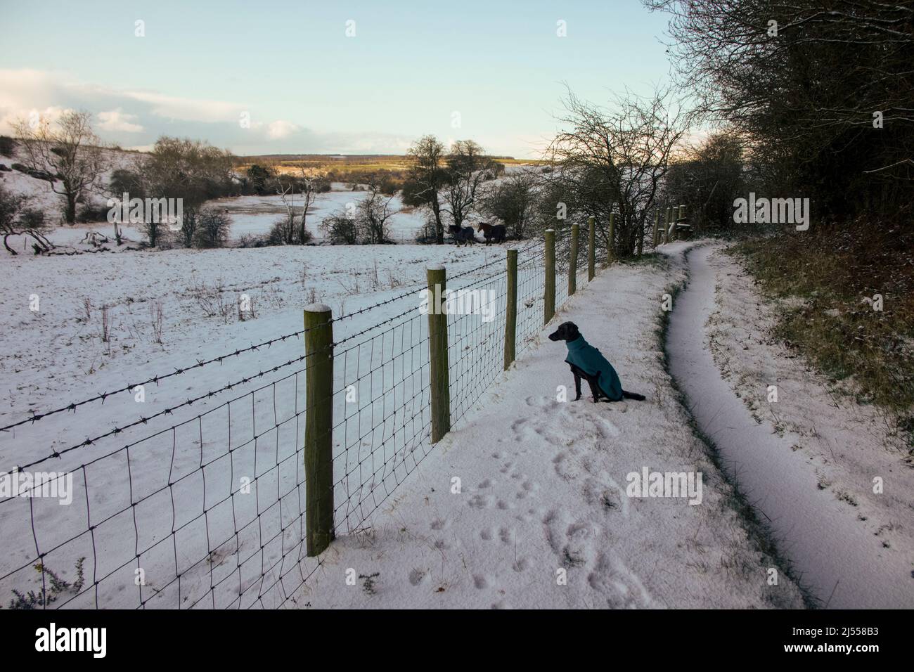 Winter spring landscape hi-res stock photography and images - Alamy