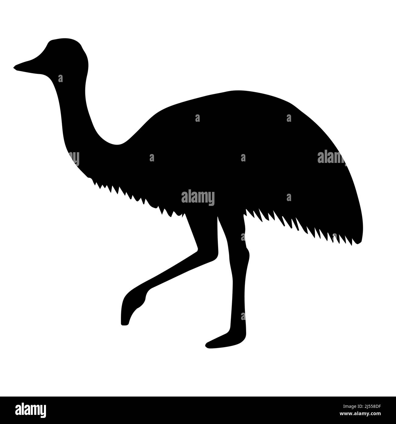 Emu silhouette hi-res stock photography and images - Alamy