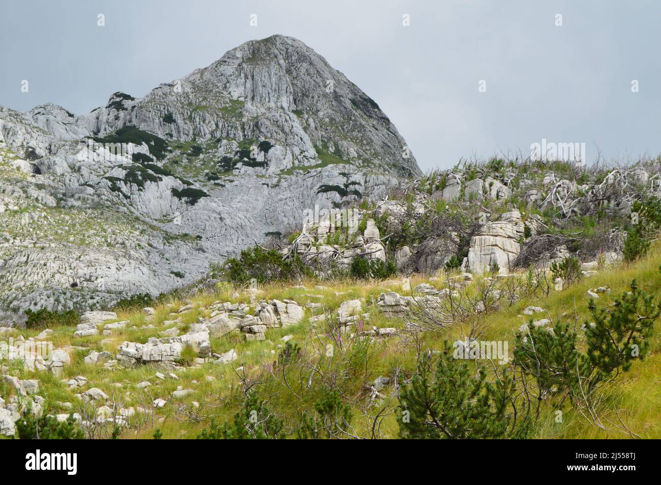 Hiking trail on Prenj mountain, Lupoglav peak Stock Photo - Alamy