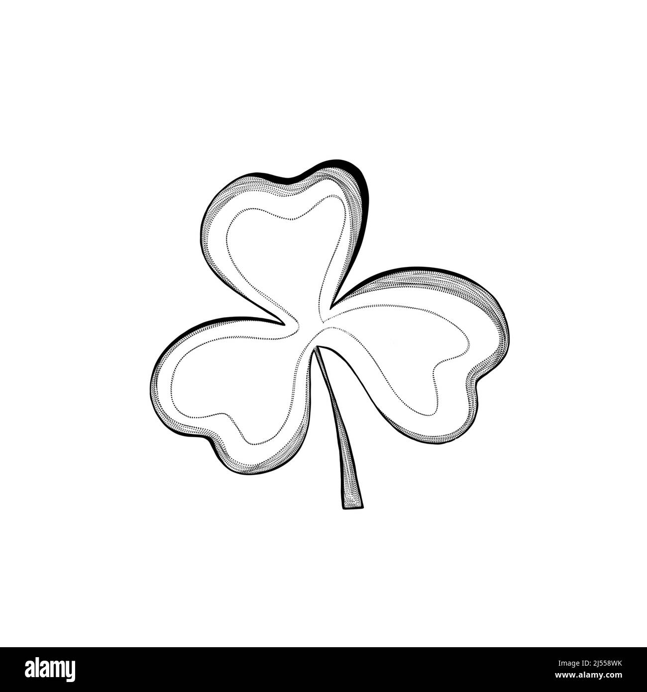 detailed sketch of a clover plant. botanical design template Stock ...