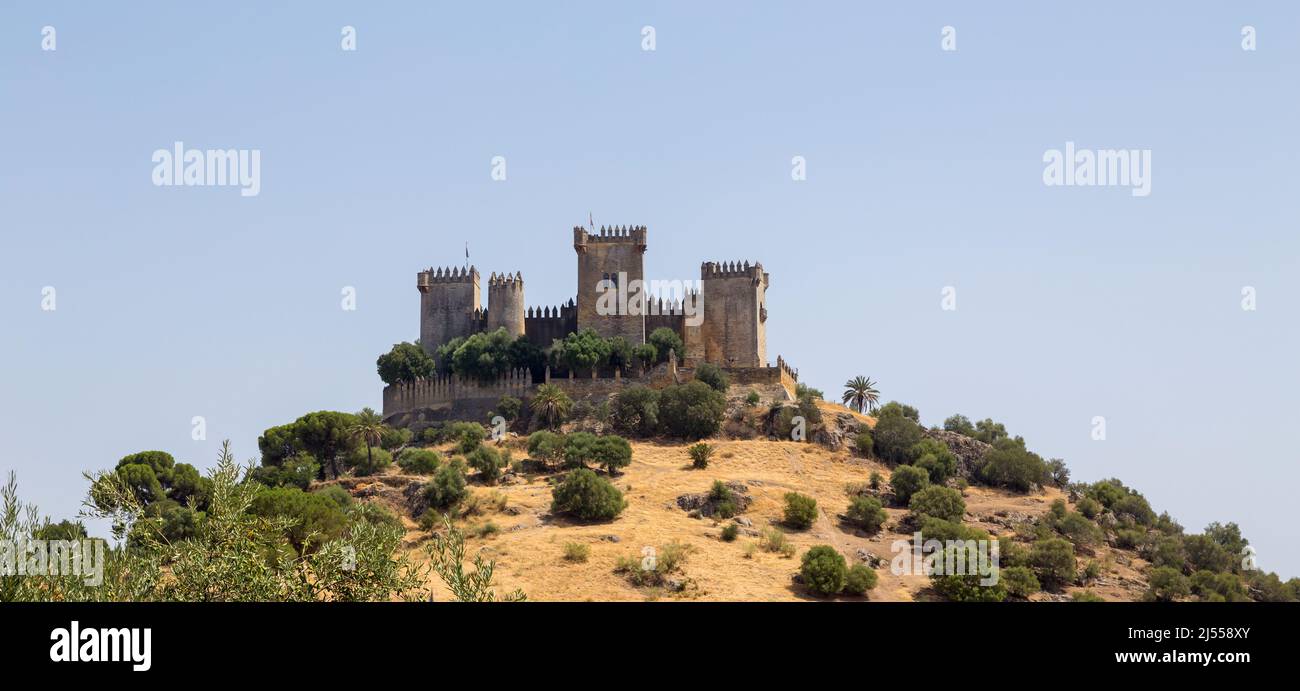 A view of the medieval castle in Almodovar del Rio, Andalusia. Spain ...