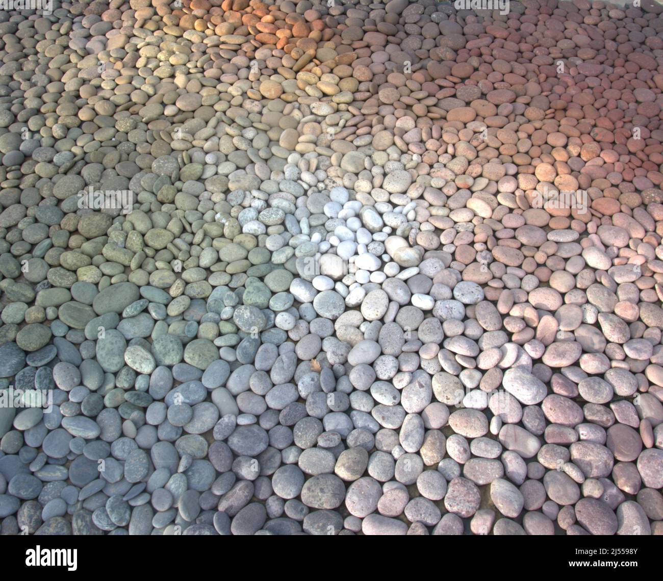 siena, sassi colorati Stock Photo - Alamy