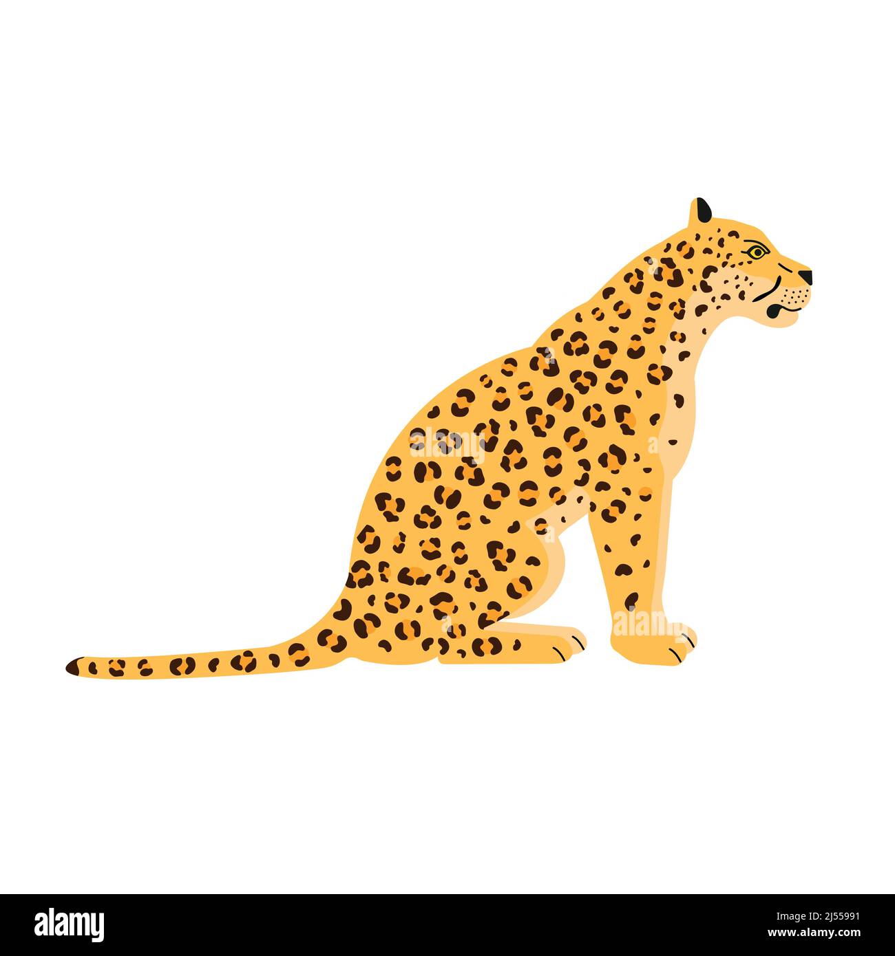 Vector flat sitting leopard Stock Vector Image & Art - Alamy