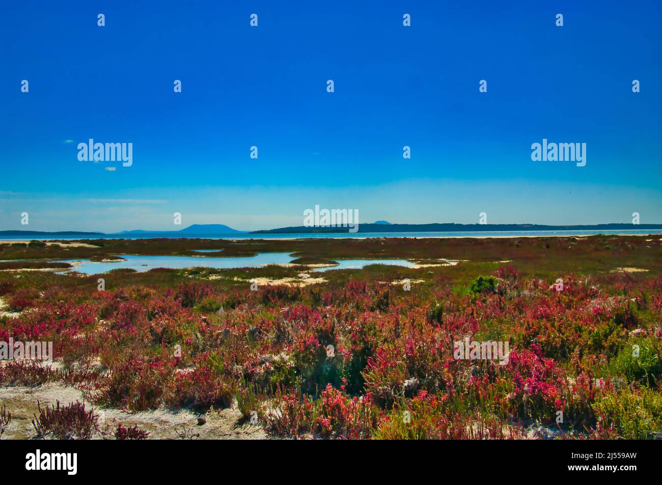 The coast of Coffin Bay National Park, Eyre Peninsula, South Australia ...