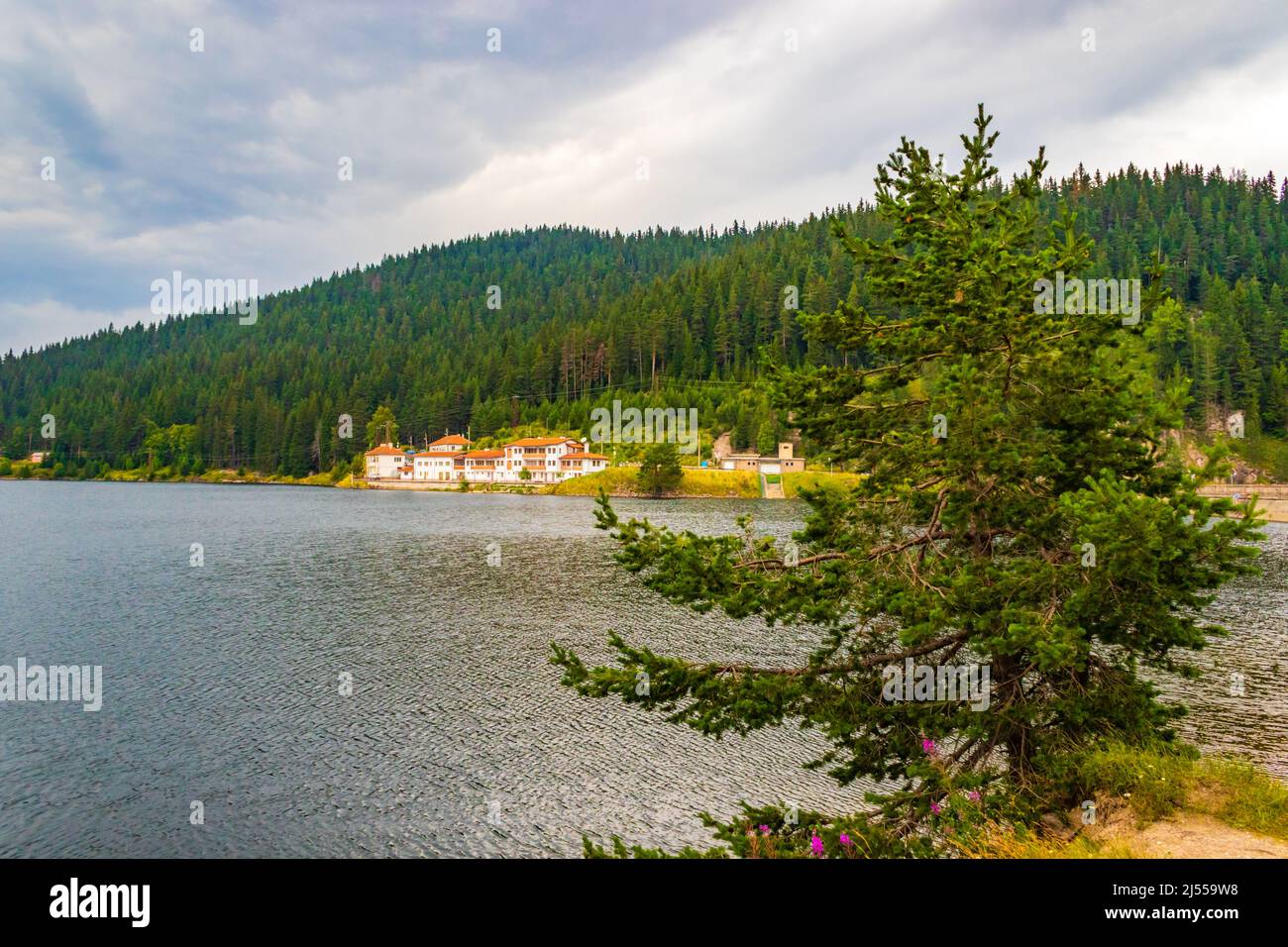 Shiroka Polyana is a reservoir lake situated in the Western Rhodopes ...