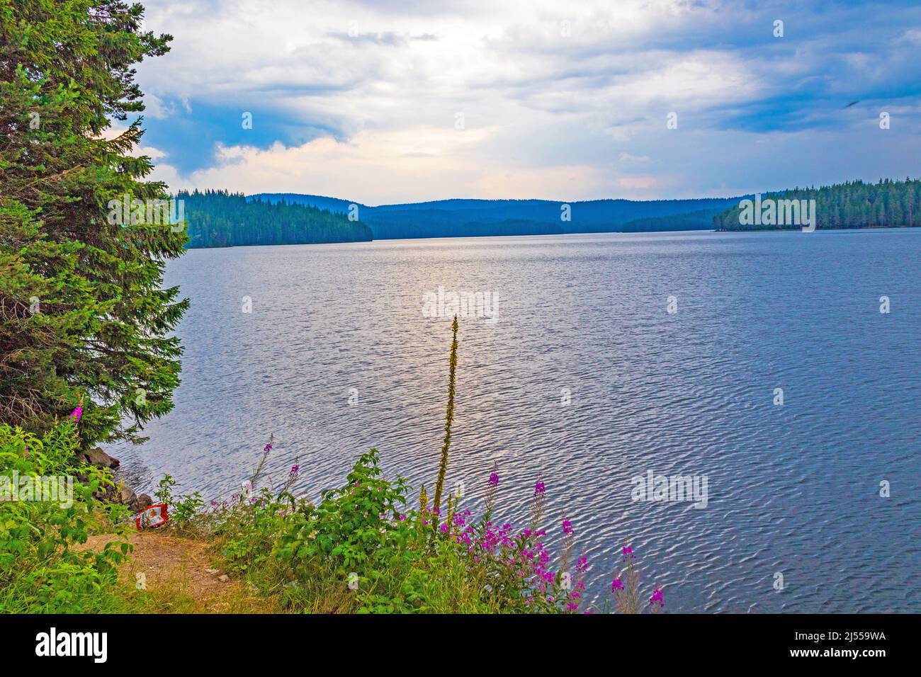 Shiroka polyana reservoir hi-res stock photography and images - Alamy