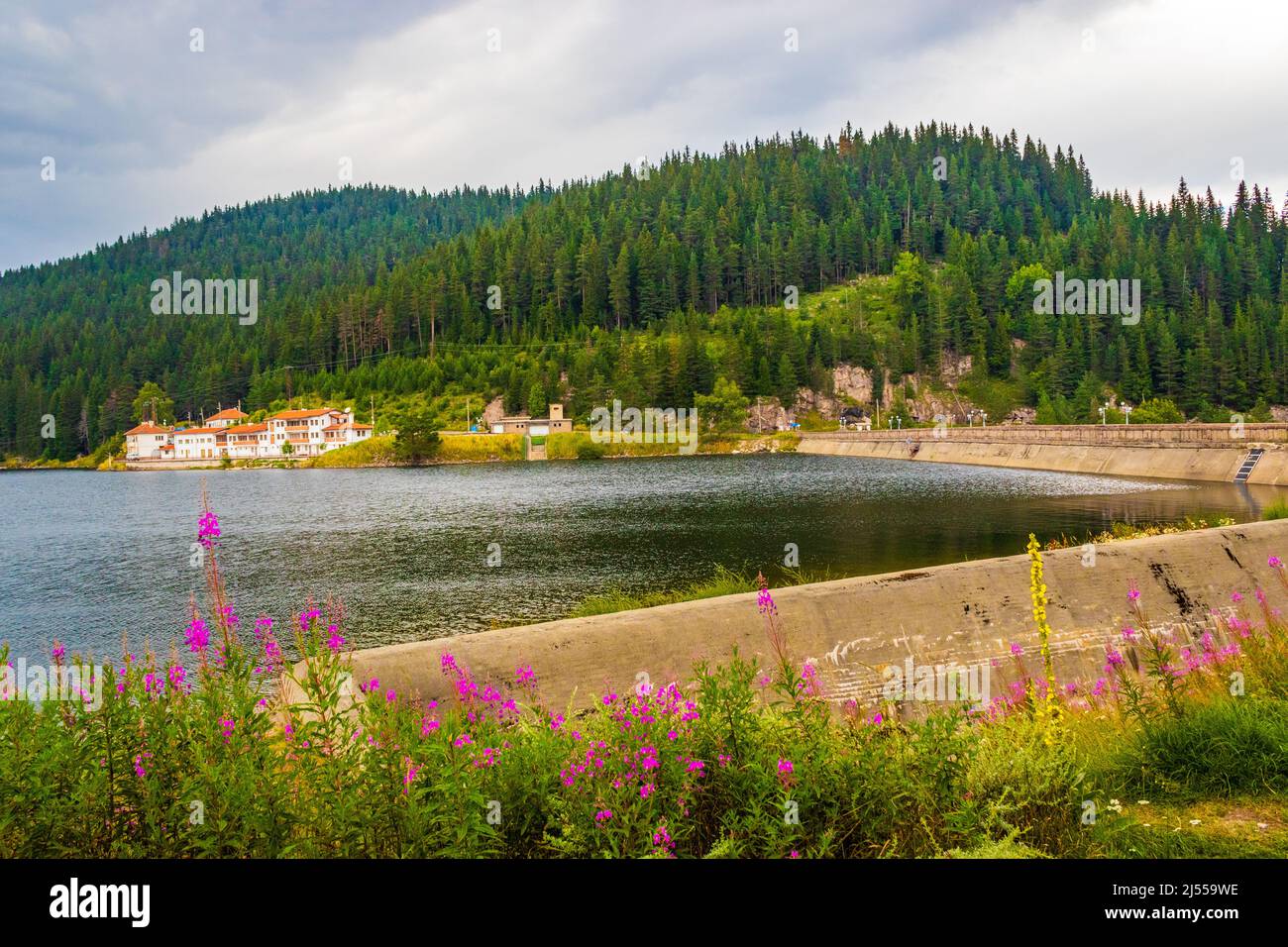 Shiroka Polyana is a reservoir lake situated in the Western Rhodopes ...