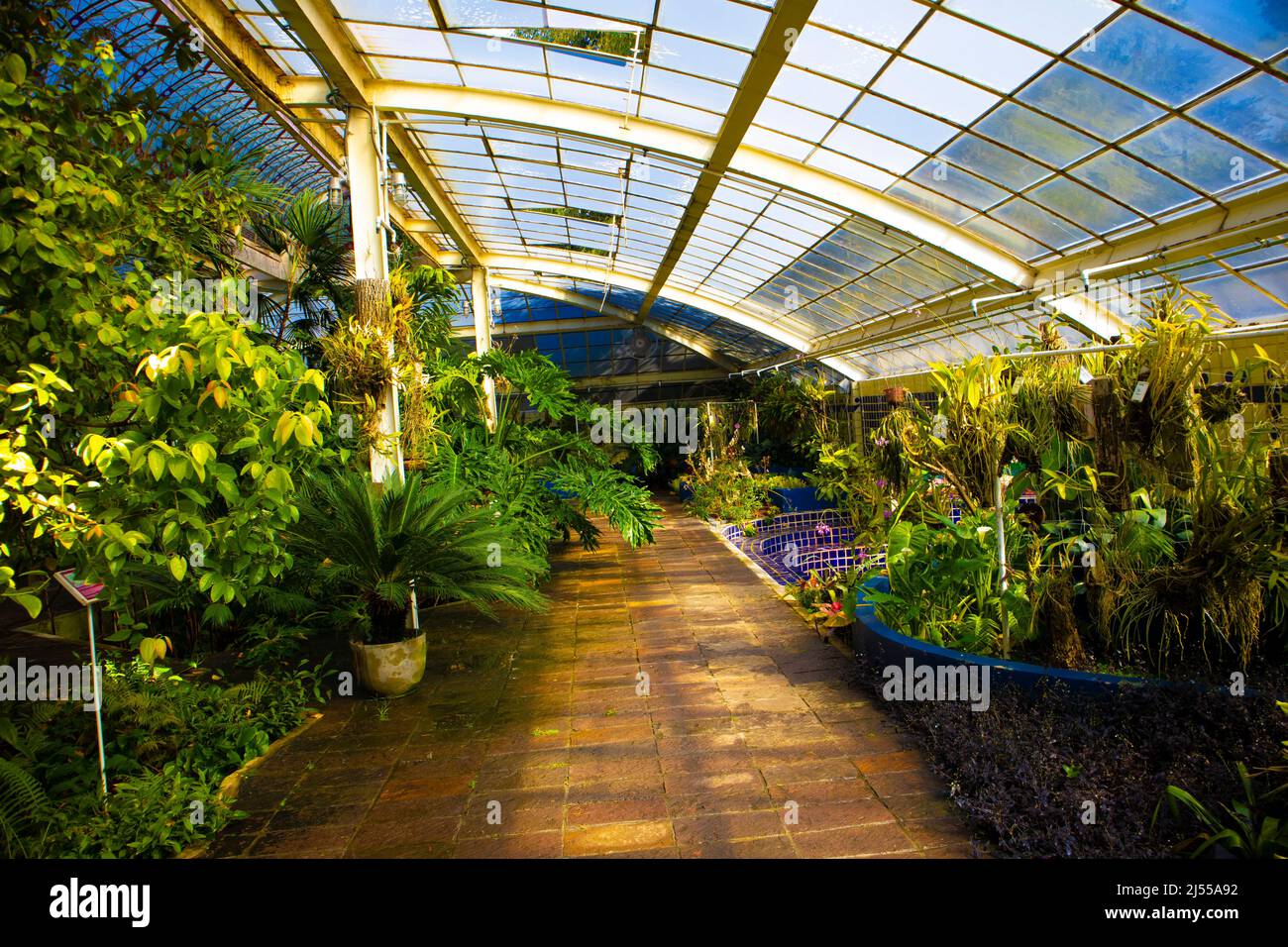 giant greenhouse with windows Stock Photo - Alamy