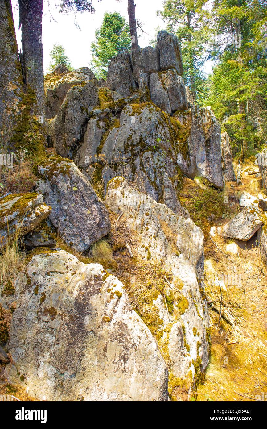 giant stones with moss and vegetation in the middle of the forest Stock ...