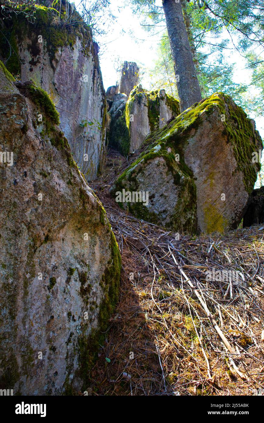 giant stones with moss and vegetation in the middle of the forest Stock ...