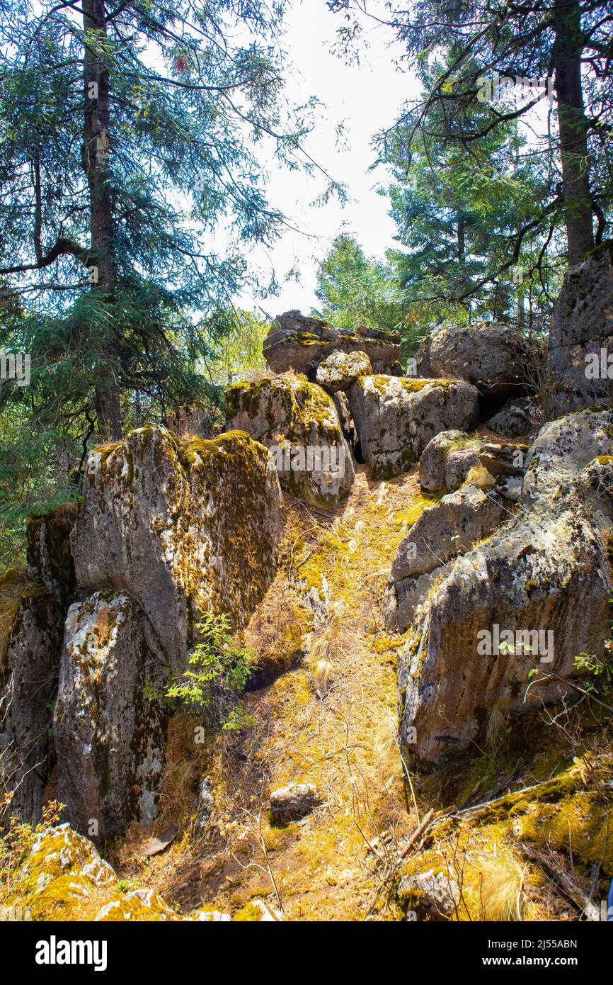 giant stones with moss and vegetation in the middle of the forest Stock ...
