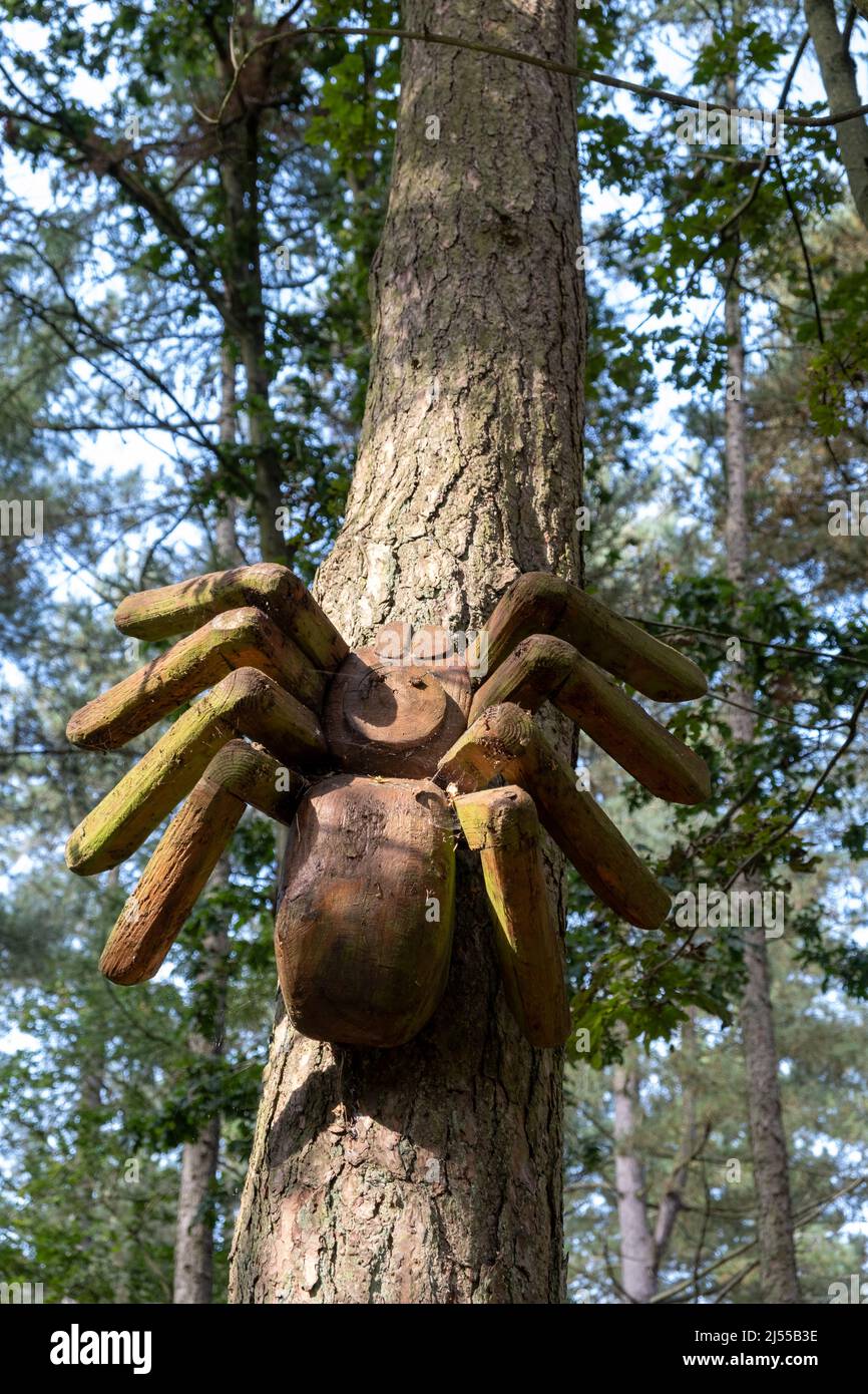 Wooden Spider