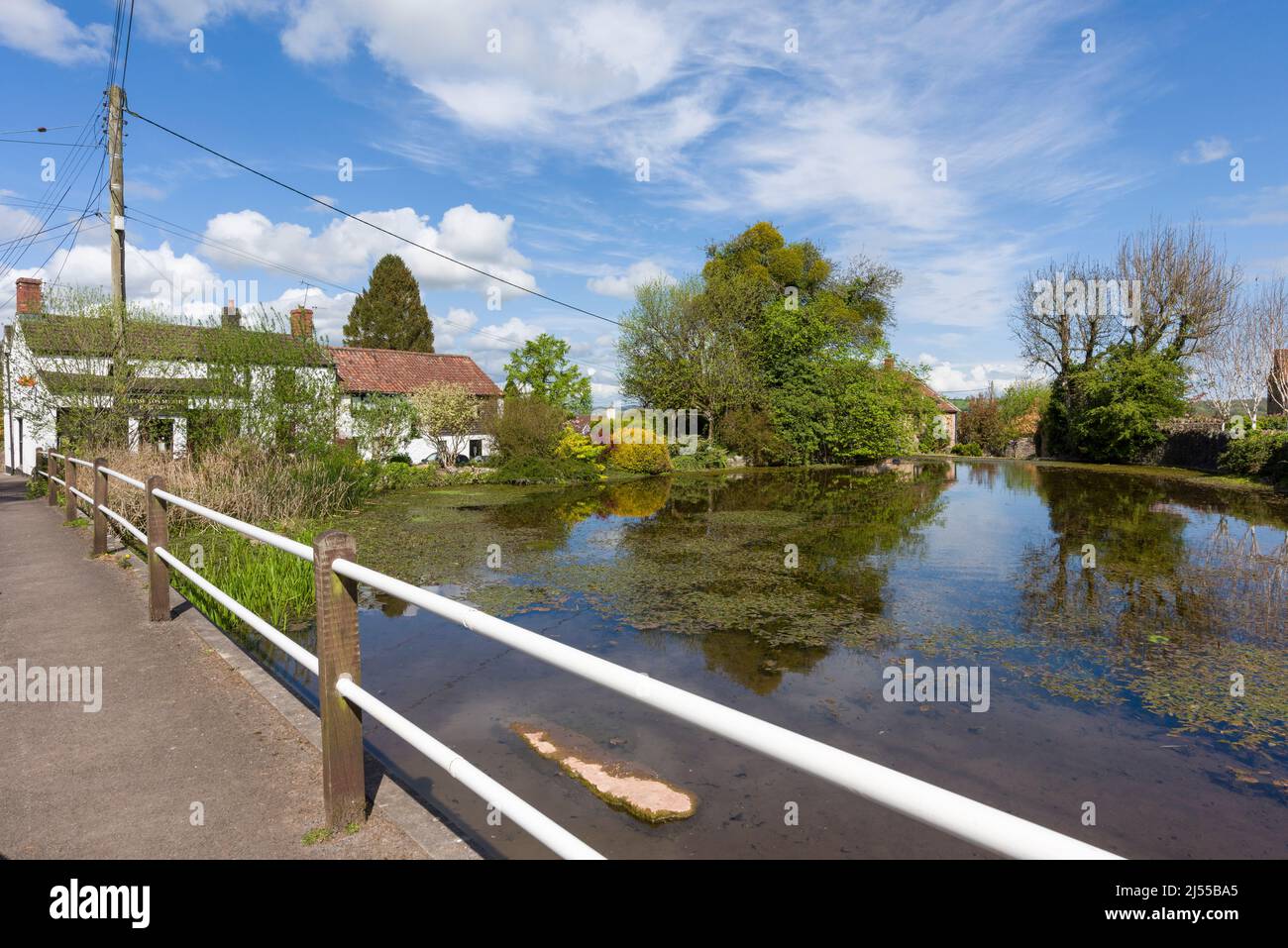 The village duck pond at Compton Martin in the Mendip Hills Area of ...