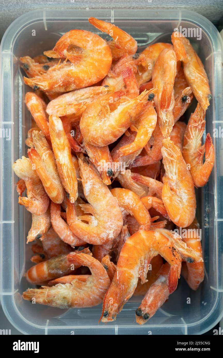 Frozen shrimp in fridge at the fish market. Healthy eating and fish ...