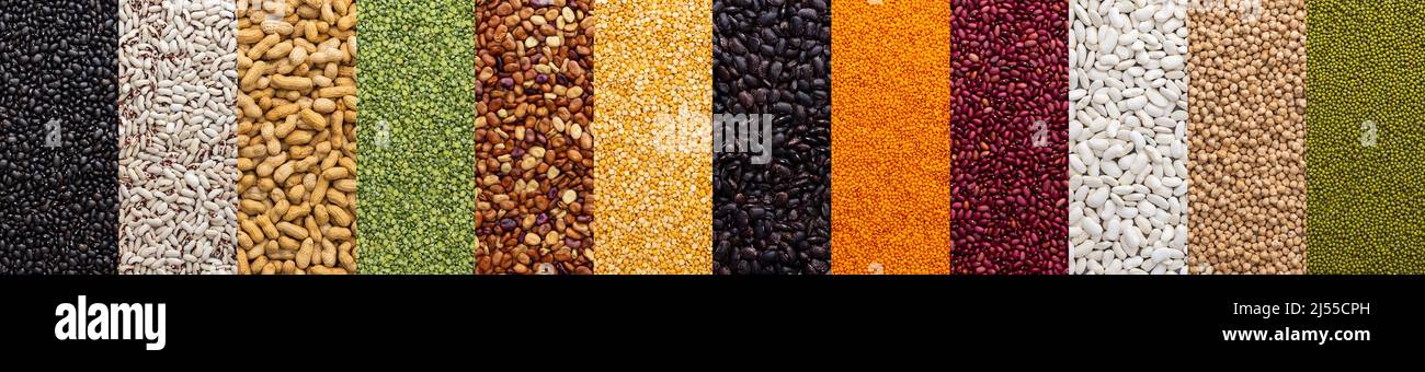 Banner of different types of legumes , chickpeas and peas, colorful ...