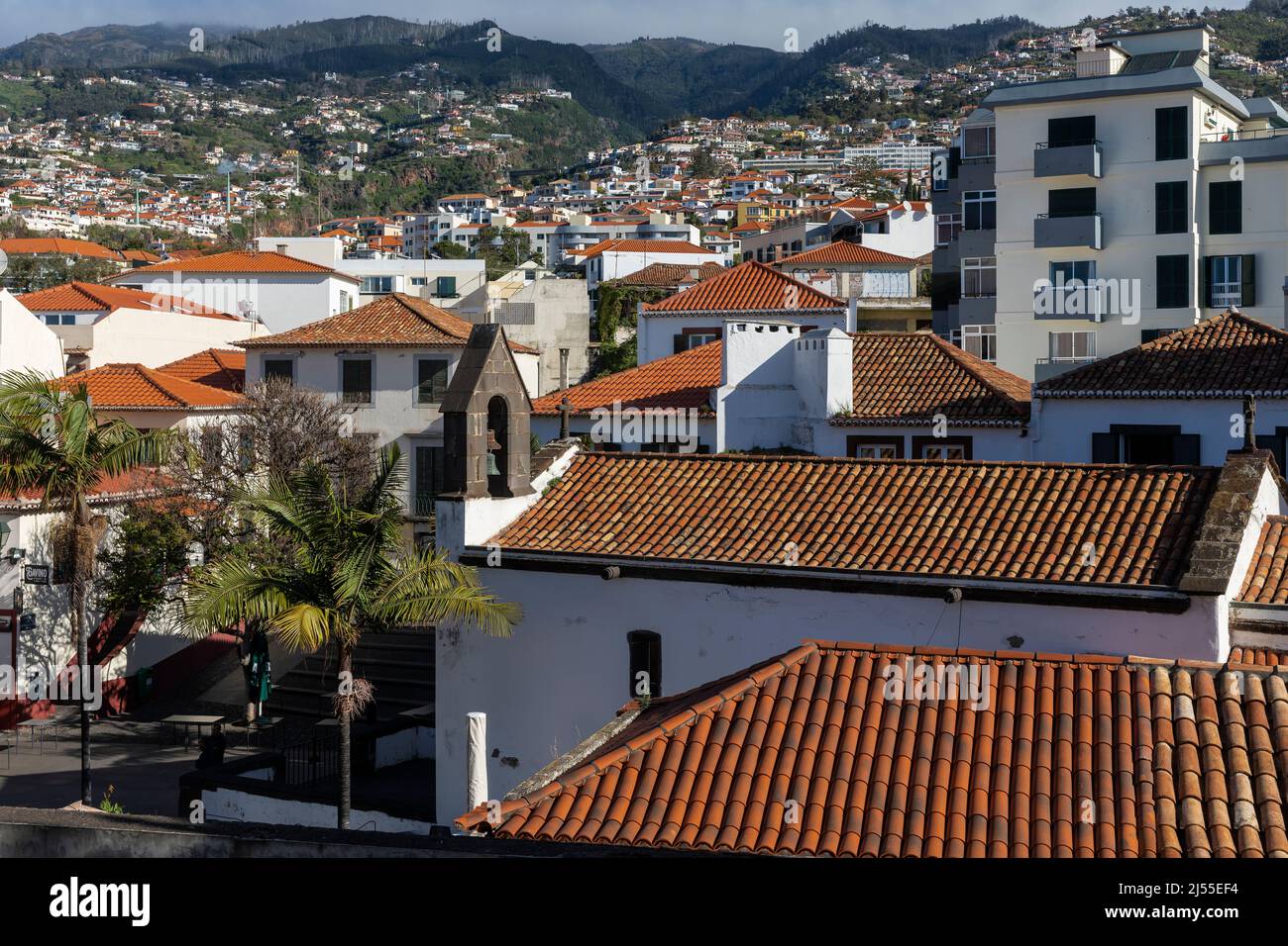 Rooftops of Funchal, Madeira Stock Photo - Alamy