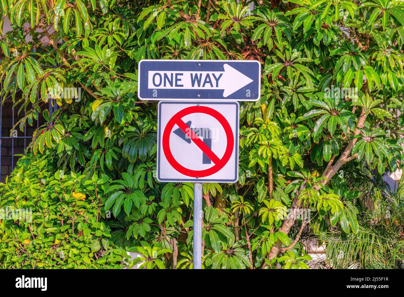 One way and no left turn signage on a post at San Clemente, California ...