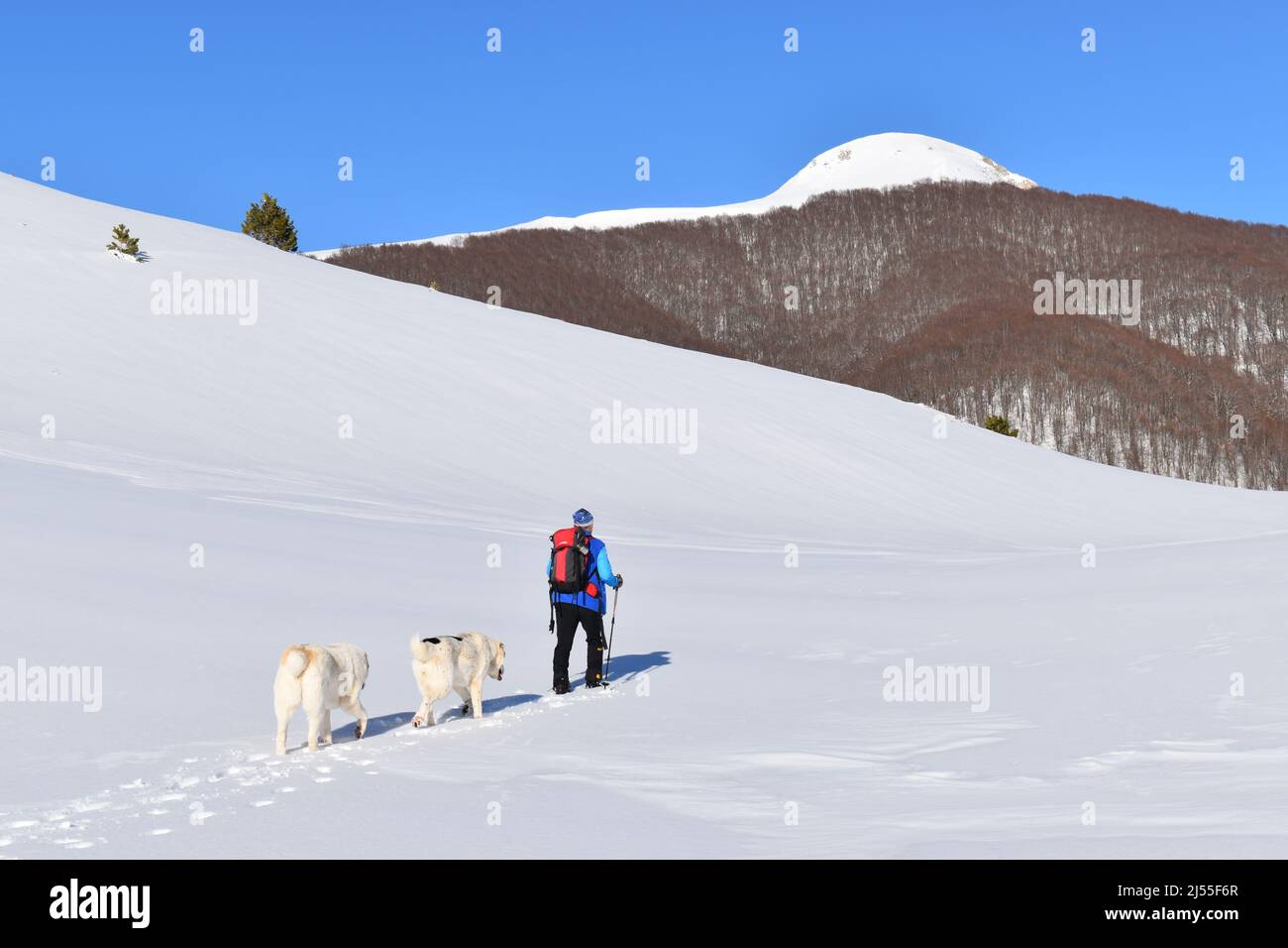 Winter hiking on Zelengora mountain, Part 4 Stock Photo - Alamy