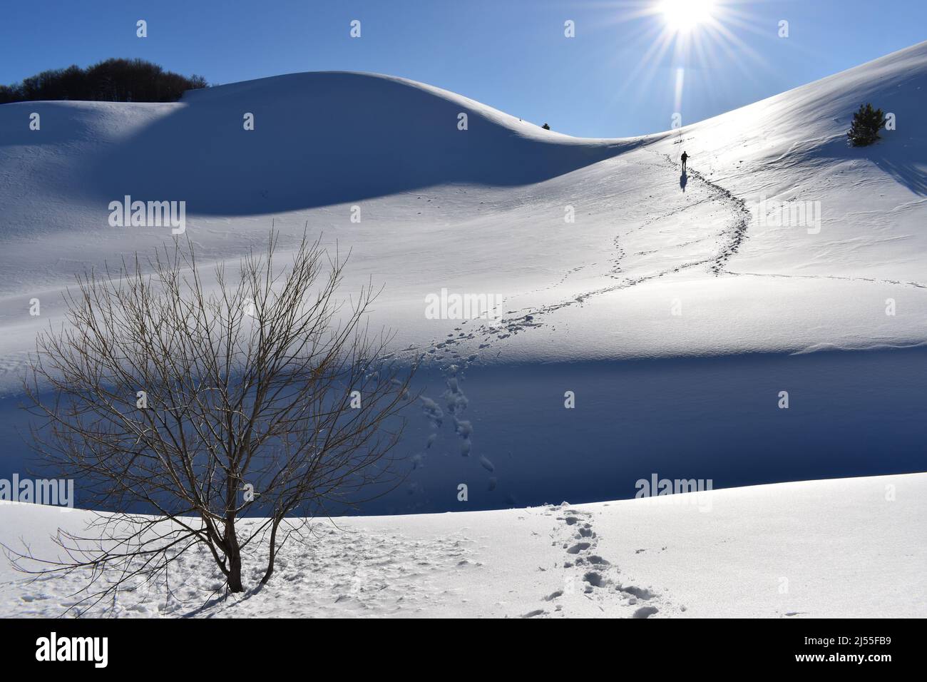 Winter hiking on Zelengora mountain, Part 4 Stock Photo - Alamy