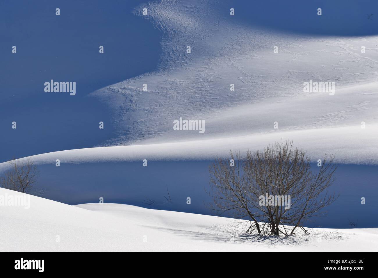 Winter hiking on Zelengora mountain, Part 4 Stock Photo - Alamy