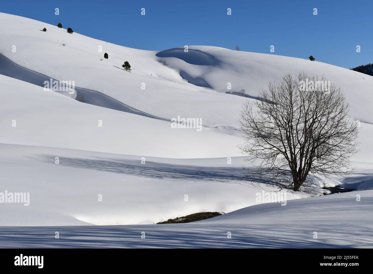 Winter hiking on Zelengora mountain, Part 4 Stock Photo - Alamy