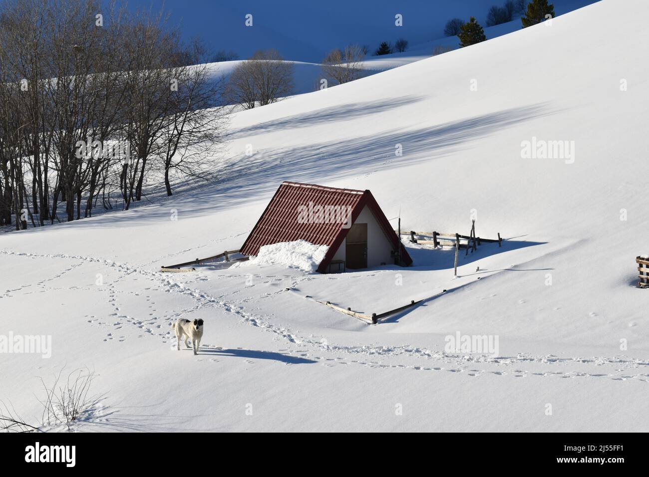 Winter hiking on Zelengora mountain, Part 4 Stock Photo - Alamy