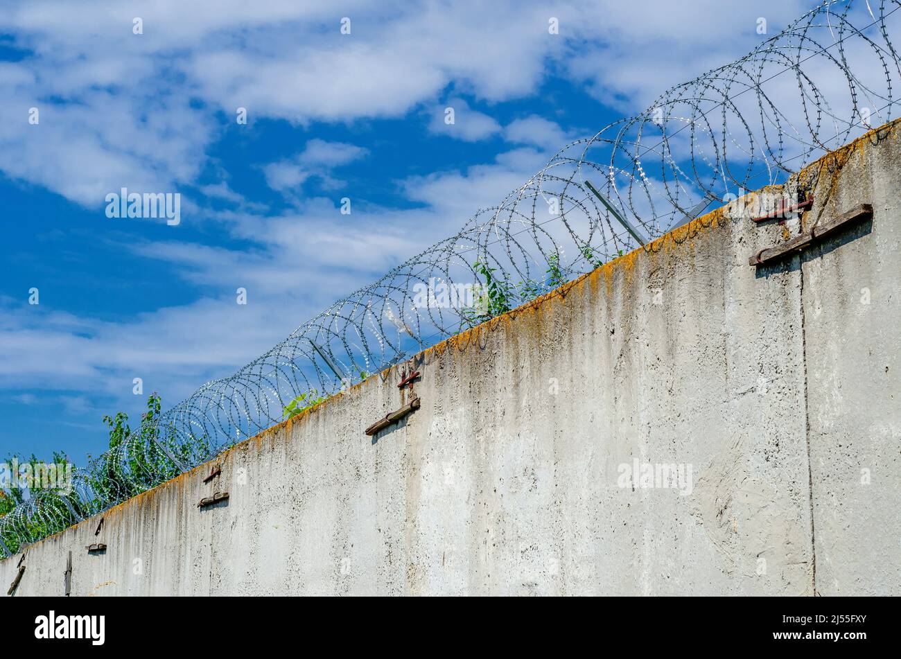 Bottom view of barbed wire on high wall. Protection of important object ...