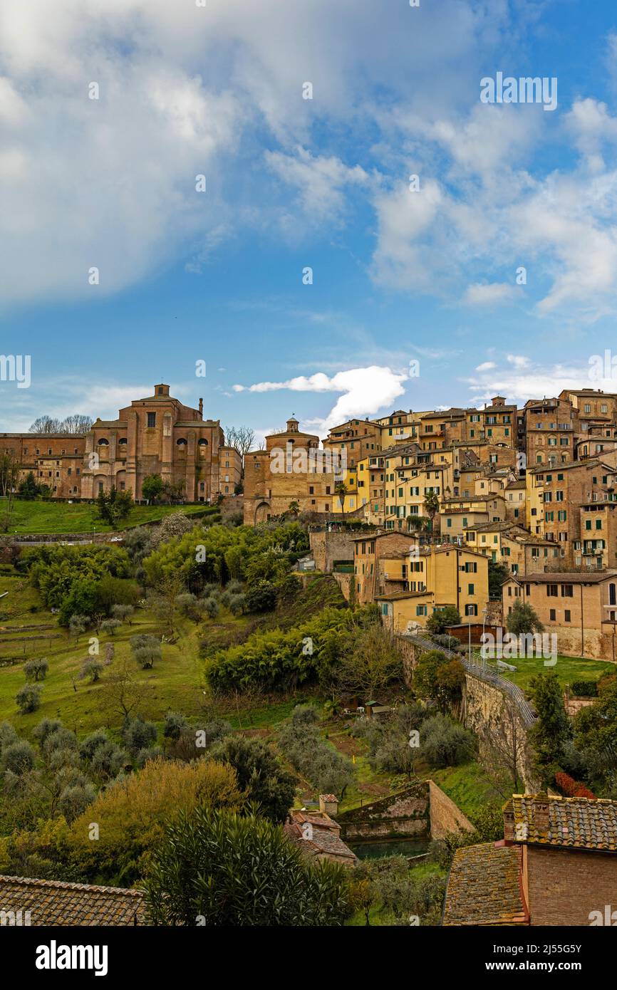 Siena viewpoint hi-res stock photography and images - Alamy