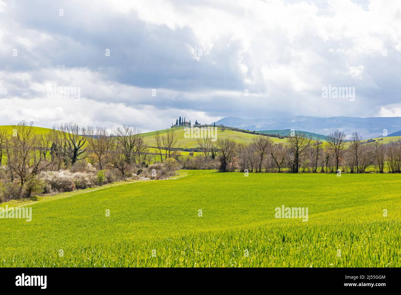 tuscan spring landscape near Bagno Vignoni Stock Photo - Alamy