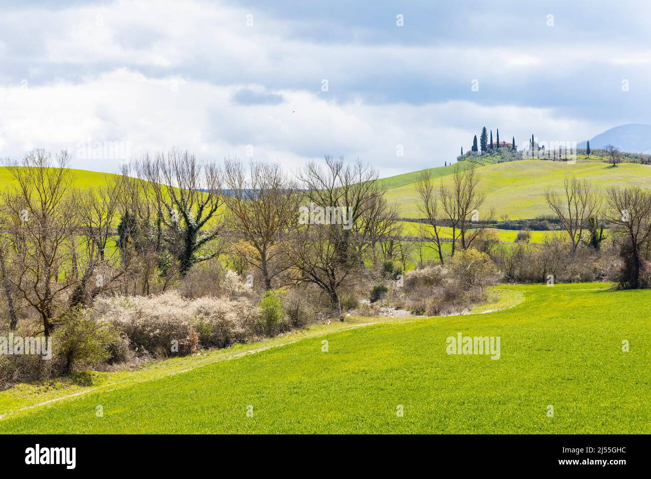 tuscan spring landscape near Bagno Vignoni Stock Photo - Alamy