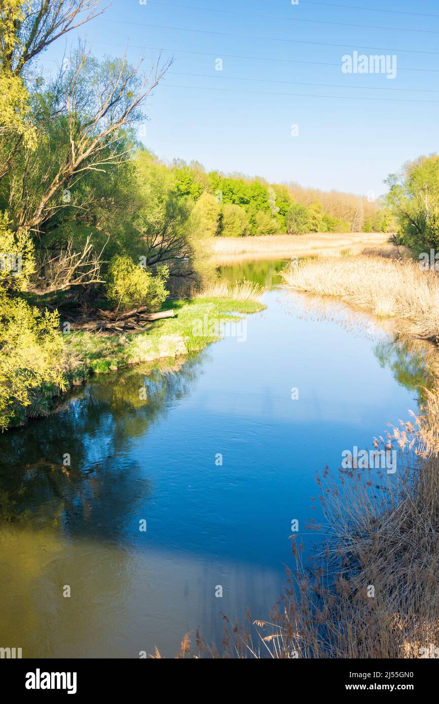 Stockerau: floodplains of the Danube, oxbow lake Alte Naufahrt ...