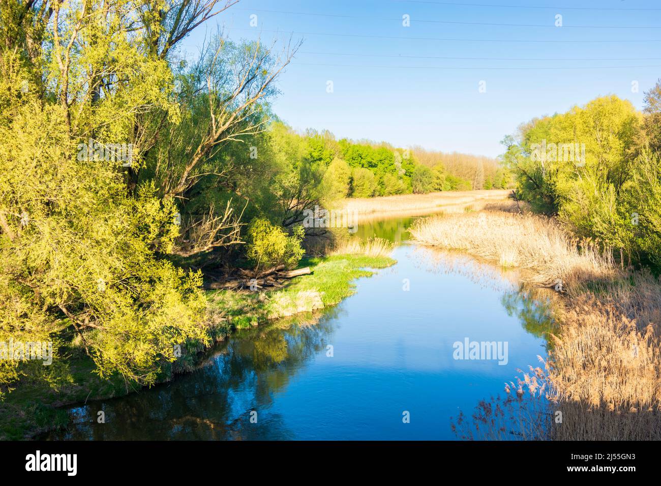 Stockerau: floodplains of the Danube, oxbow lake Alte Naufahrt ...
