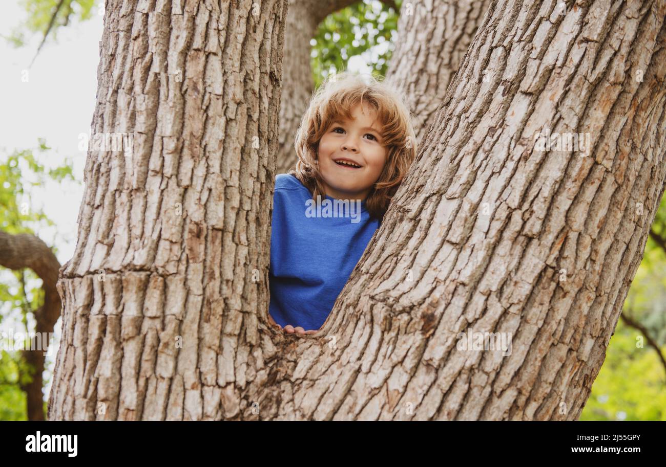 Portrait of cute kid boy sitting on the big old tree on summer day ...